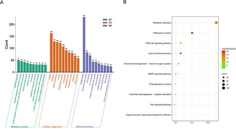 Go And Kegg Analysis A Go Analyses Of Target Genes B The Top 10