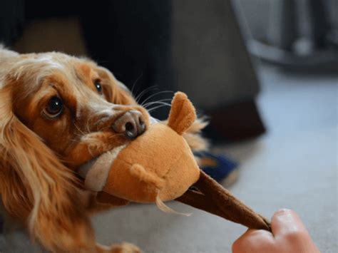 The Swap Exercise