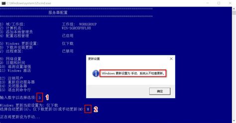 禁用WindowsServer 的系统自动更新 荒原之梦