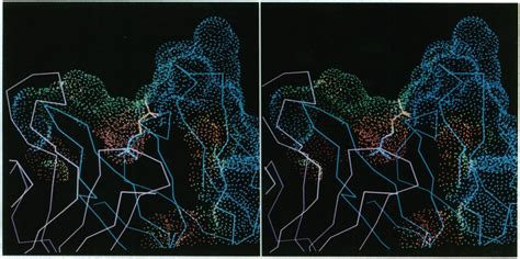 Binding Site Shape And Electrostatic Complementarity From The Antibody