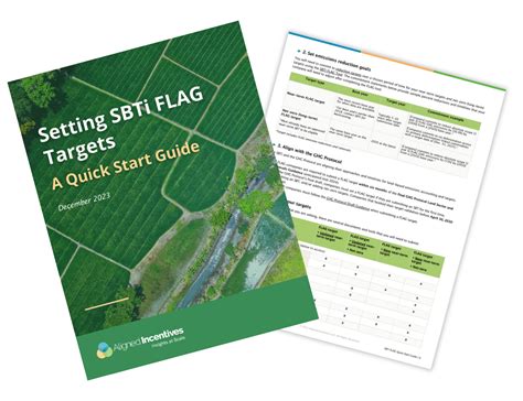 Setting Sbti Flag Targets A Quick Start Guide Aligned Incentives