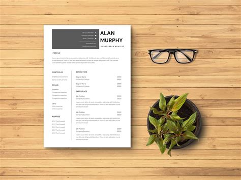 Free Chargeback Analyst Resume Template With Example For Job Seeker