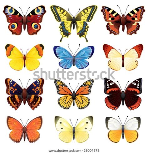 Vector Illustration Butterfly Icon Set Stock Vector Royalty Free
