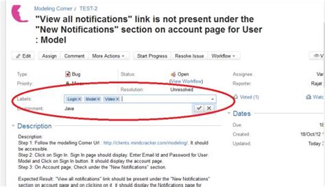 jira labels use in classifying issues tech agilist