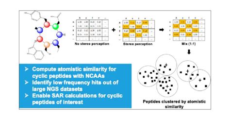 Charlene Bashore On Linkedin Identification Of Macrocyclic Peptide Families From Combinatorial…