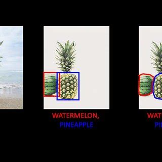 Classification Object Detection And Instance Segmentation Download