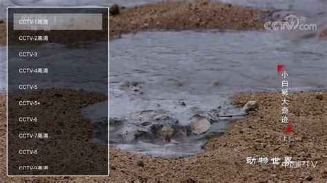 GitHub Turboshow Tbs Iptv Android TBS IPTV Player With Udpxy Support