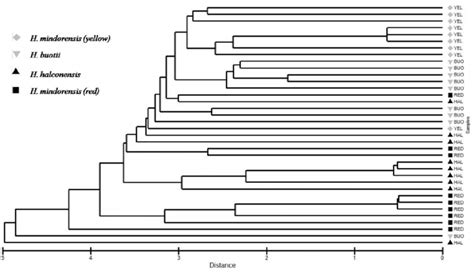 Single Linkage Or Nearest Neighbor Cluster Dendrogram On The Nine