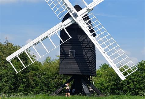 My Windmill Mollys Daily Kiss