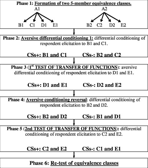 Schematic Depiction Of The Phases Of Experiment 2 Download Scientific Diagram