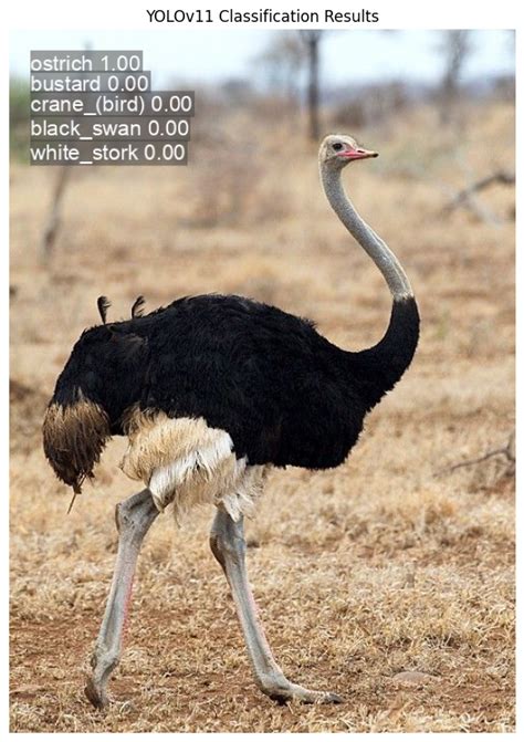 The Only Yolov11 Multi Labeling Guide Youll Ever Need