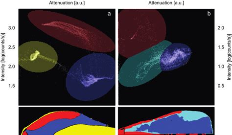 The Bivariate Histogram Plots Allow Segmenting Some Anatomical Features Download Scientific