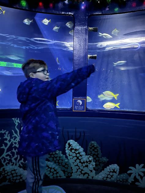 December 2022 Moebius Stripe Flickr