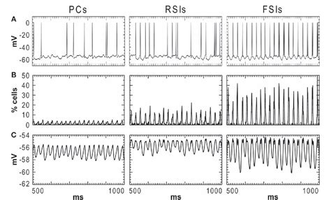 Figure 2 From The Functional Consequences Of Cortical Circuit Abnormalities On Gamma