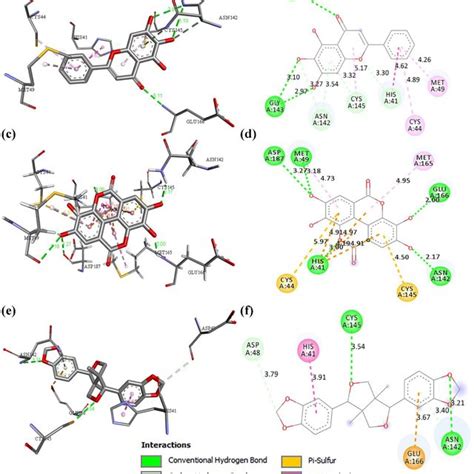 2d And 3d Ligand Interactions Of A B 3wl C D Ellagic Acid And E F Download Scientific