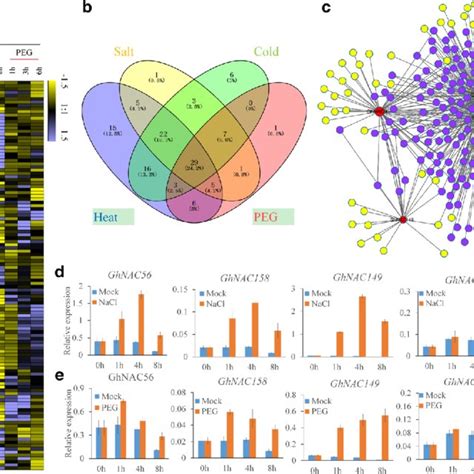 Cis Element Analysis Of Nac Genes In G Hirsutum Cis Element Analysis