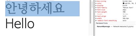 Unicode Range로 언어문자에 따라 다른 폰트 적용하기
