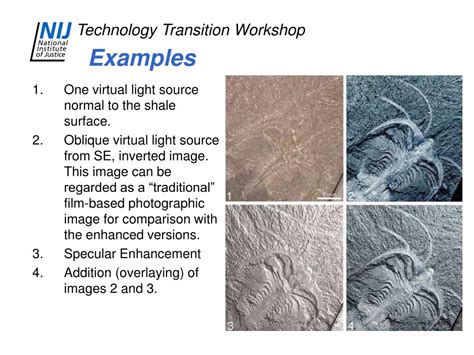 Ppt Evaluation And Application Of Polynomial Texture Mapping Ptm