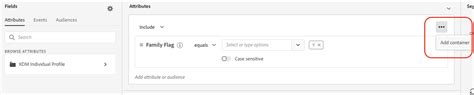 How Exactly Do Containers Work In Aep Segmentation Adobe Experience League Community 458780