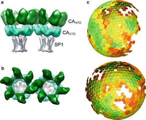 Assembly And Architecture Of Hiv Pmc