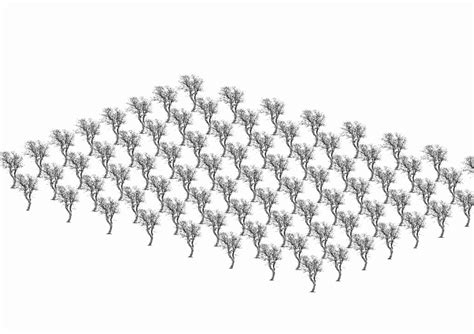 Tree 3d Sketchup In Skp Cad Download 564 44 Kb Bibliocad