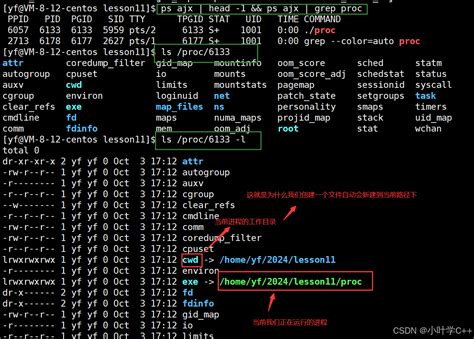 【linux】进程概念 csdn博客