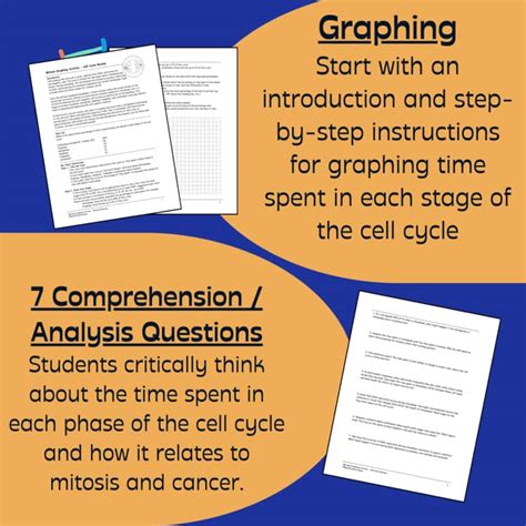 Mitosis Graphing Activity Cell Cycle Review By Back Pocket Science Tutor