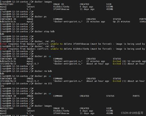 Docker上面安装mysqldocker Mysql Mycnf Csdn博客