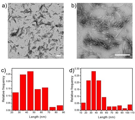 Figure S21 Negative Staining Tem Analysis Of The A 13 And A 16