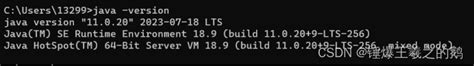 jdk11 idea安装 第一个简单java程序测试 csdn博客