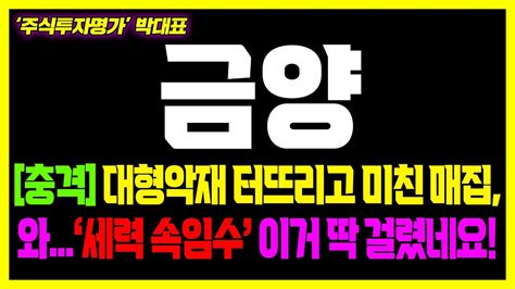 금양 초거대세력 12월 추가 매집 진행중 충격적 매수 이유 공개 금양금양 주가전망lg에너지솔루션 에스엠랩 몽골