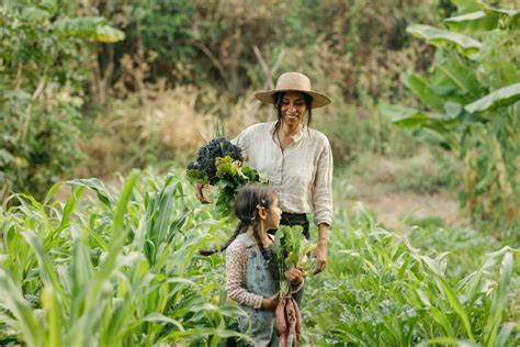 어린 소녀가 손에 개구리를 들고 있습니다 사진 Unsplash의 가족 이미지