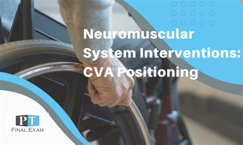 Episode 81 Neuromuscular Systems Interventions On The Npte Pt Final Exam