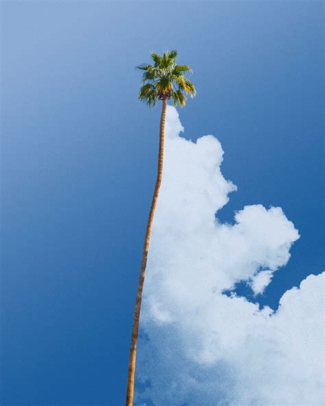 Tom Fabia The Future Of Entertainment Creative Experiences You Can Own