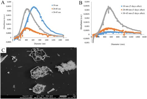 Particle Size Distributions Of The 10 20 40 And 30 45 Nm Y 2 O 3 Nps