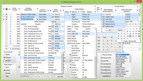x files components x dbgrid and x dbnavigator components for
