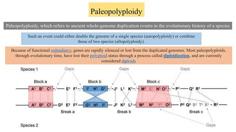 Cytogenomics Tools And Techniques And Chromosome Sortingpptx