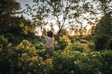 Fiskars X Series Bypass Pruner L P961 Finnish Design Shop