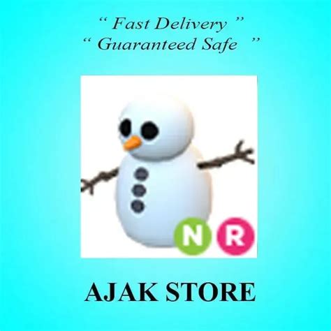 Nr Snowman Roblox Game Items Gameflip