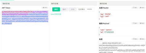 ctf show笔记篇（web入门 jwt）