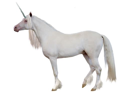 Unicorn PNG Transparent Images PNG All