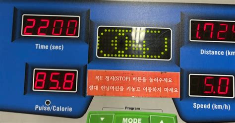 걷기 운동으로 마음까지 치유하기