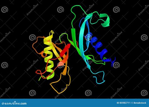 Cathelicidin Which Serves A Critical Role In Mammalian Innate I Stock Image Image Of