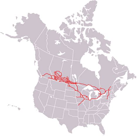 Filecanadian Pacific System Railmappng Wikipedia
