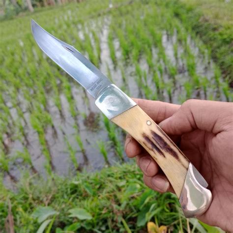 Jual Bear Mgc Cutlery Folding Hunter Knife Klc16308 Stag Scale Handle