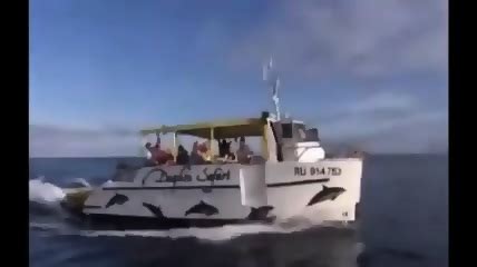 Water Sex Looks Fun