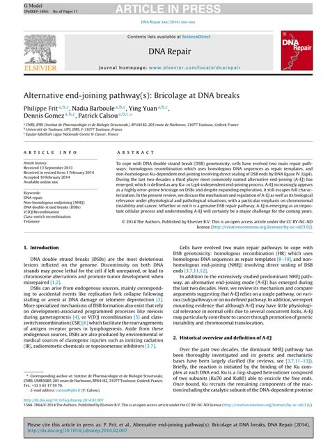 pdf alternative end joining pathway s bricolage at dna breaks