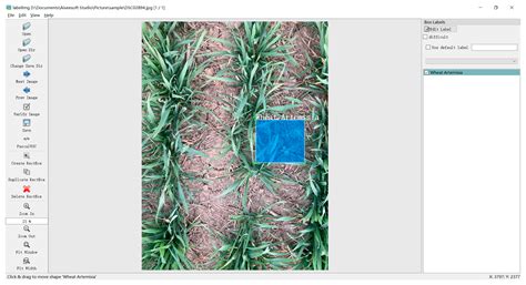 Yolov8 Model For Weed Detection In Wheat Fields Based On A Visual