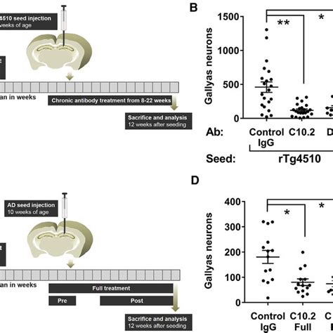 Tau Acetylation In Tg Mouse Models With Tau Pathology Af Download Scientific Diagram