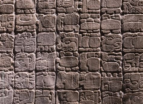 Tha Mayan Alphabet Examples Of This Hieroglyphic Writing System Can Be